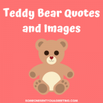 47 Teddy Bear Quotes and Images - Someone Sent You A Greeting