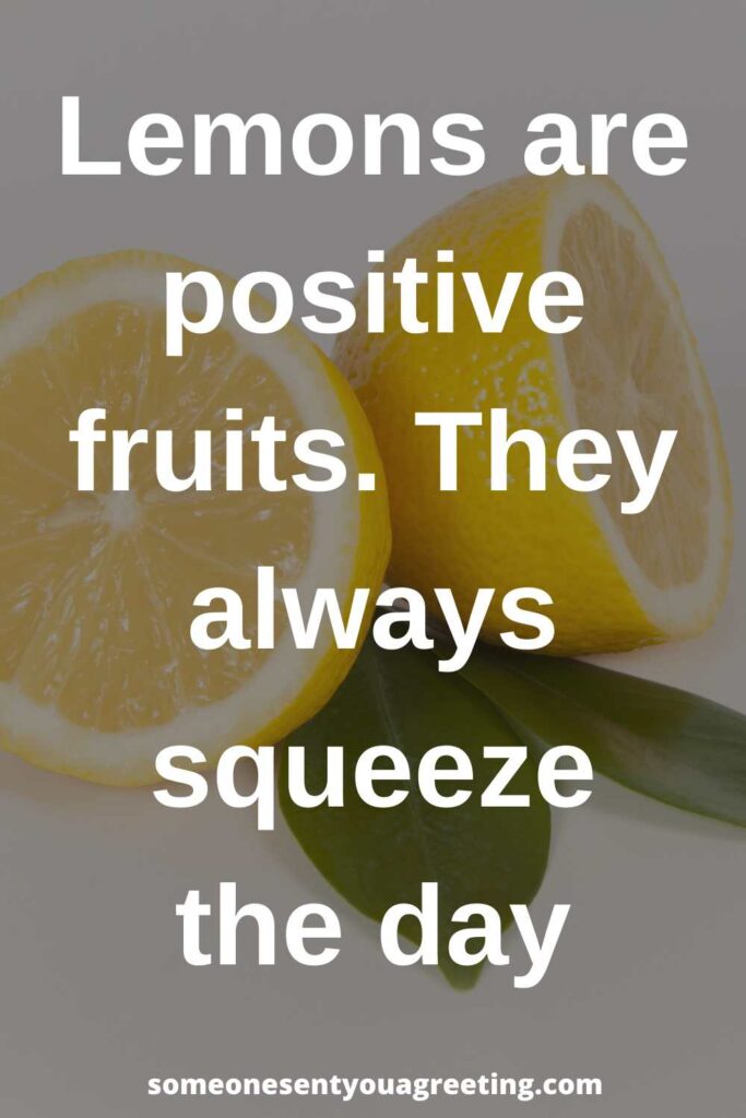 55+ Lemon Puns, One Liners and Jokes - Someone Sent You A Greeting